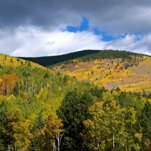 5 Reasons to Sell This Fall in Santa Fe